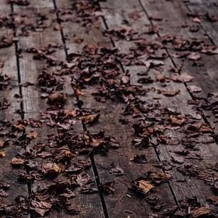 I did not think of ending…my poem | Richard Subber